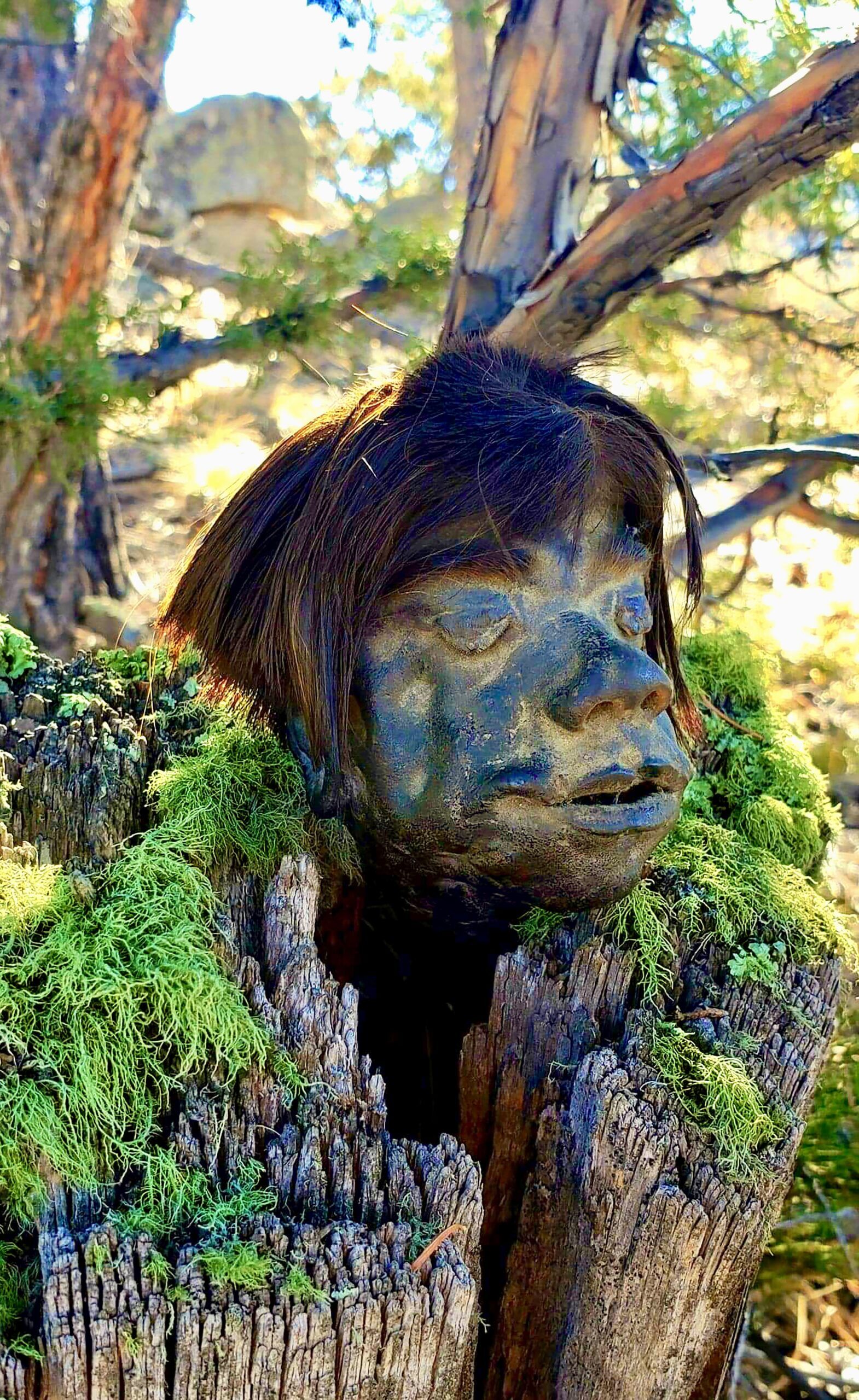 Shrunken Heads. TSANTSA. Research. Buy. Sell. Authenticate.