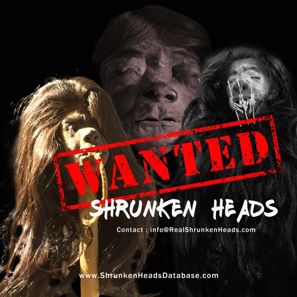 Shrunken Heads. TSANTSA. Research. Buy. Sell. Authenticate.